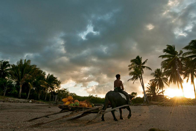 George Tapan: Master travel photographer