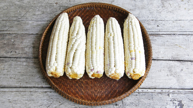 Gov’t to test new compact corn mill technology | THE FILIPINO MEDIA