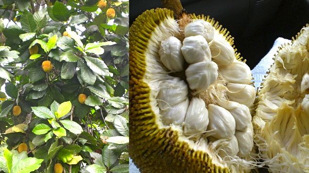 Beyond Zamboanga City